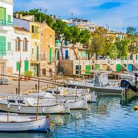 Lingoo | Learn a language, host, teach or au pair